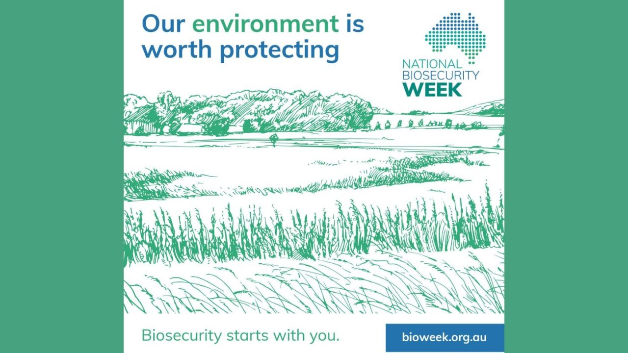 National Biosecurity Week - 26 to 30 August 2024 - National Landcare ...