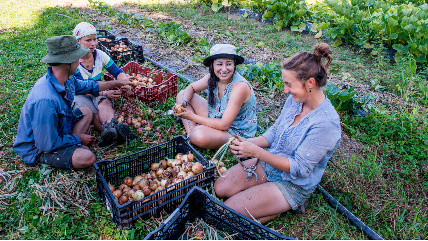 Landcare 2030 - National Landcare Network
