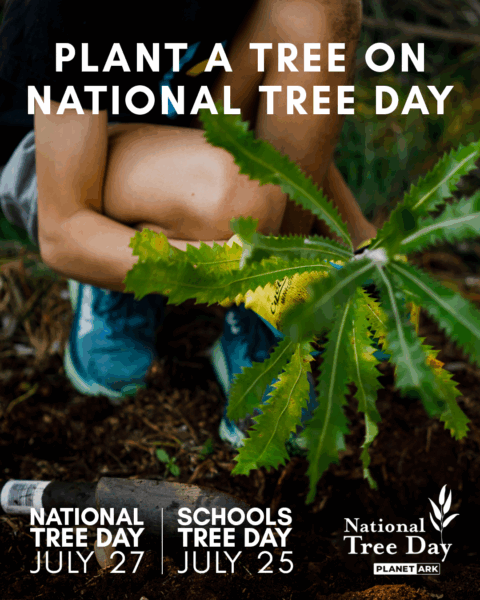 National Tree Day 2025 - National Landcare Network