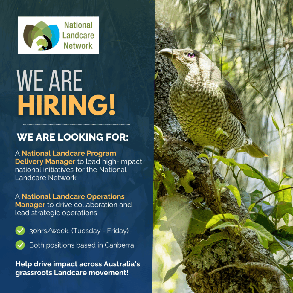 The NLN is Now Hiring! - National Landcare Network